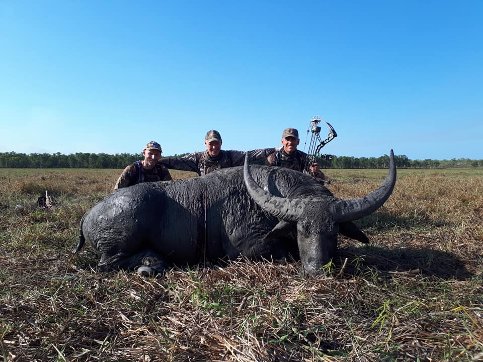 Trophy Water Buffalo & Buffalo Hunts - Hunting Trips Australia