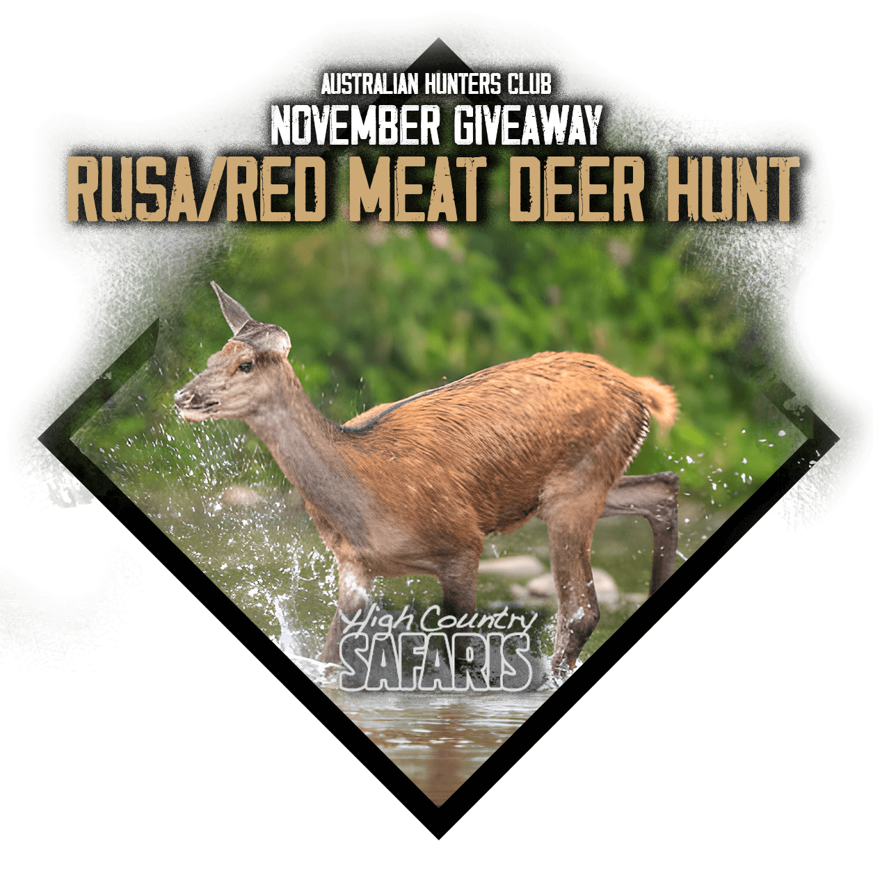 November 2025 Hunting Experience Giveaways - Hunting Trips Australia